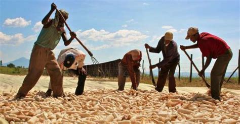Subsistence Patterns Ethiopia