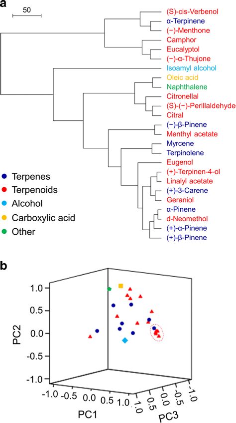 A Presentation Of Odor Space A Hierarchical Cluster Analysis For 25