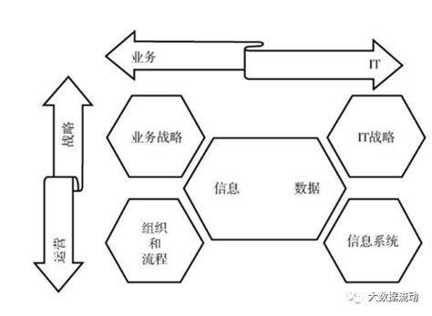 数据治理专业认证cdmp学习笔记（思维导图与知识点） 数据管理 csdn博客