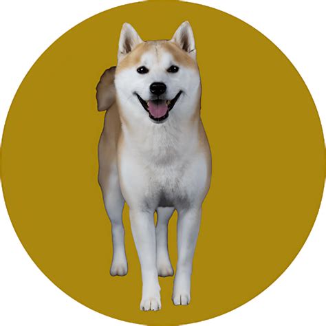 The Rebels Rebels Construction Zürich