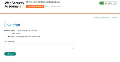 Portswigger Websocket Vulnerability Walkthrough