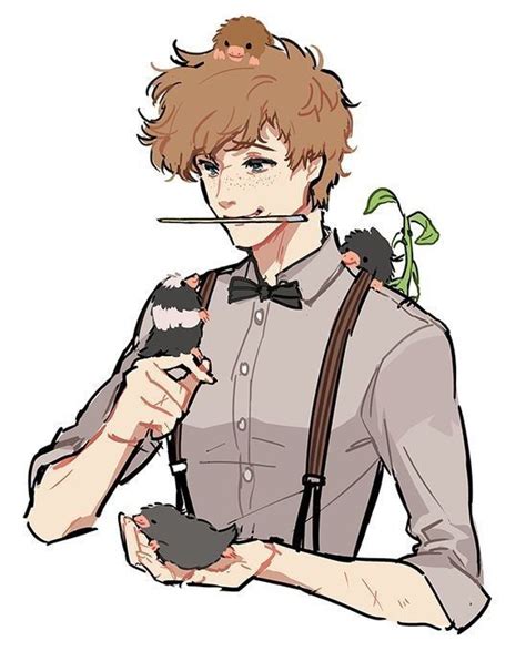 Newt Scamander Fan Art Artofit