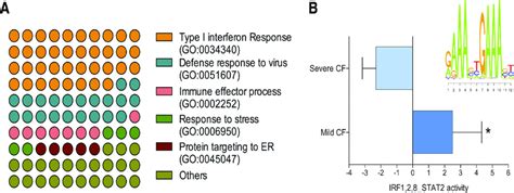 Functional Enrichment Analysis Of Rna Seq Data A Representative Gene Download Scientific