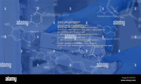 Image Of Scientific Data Processing Over Scientist In Laboratory Stock