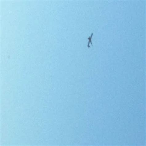 Shruthilaya Ram National University Of Singapore Singapore Nus Department Of Psychology