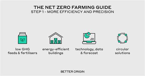 Three Main Ways We Can Achieve Net Zero Farming