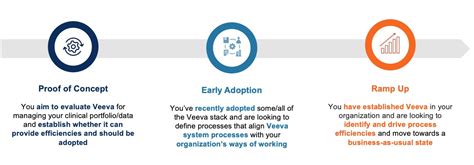 Delivery Excellence With Veeva Cdms Implementation Syneos Health