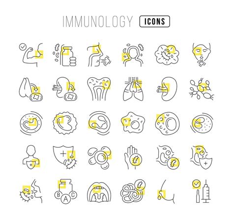 Set Of Linear Icons Of Immunology 10560986 Vector Art At Vecteezy