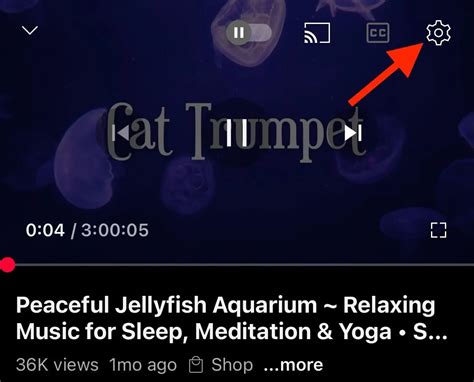 How To Loop YouTube Videos & Playlists