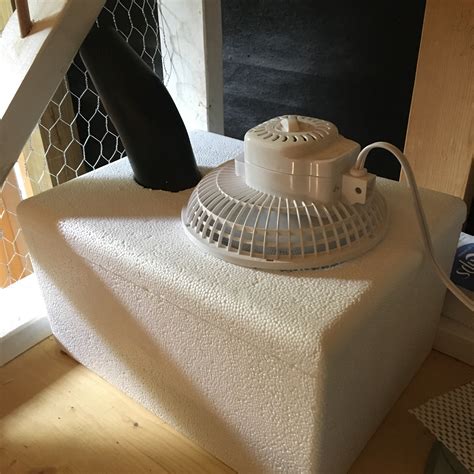 Styrofoam Cooler Critters And Craft
