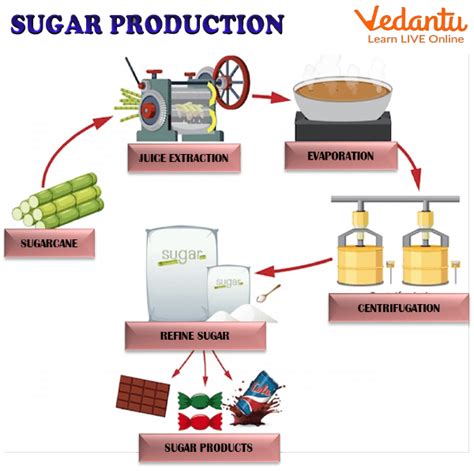 The Diagram Below Shows The Manufacturing Process For Making