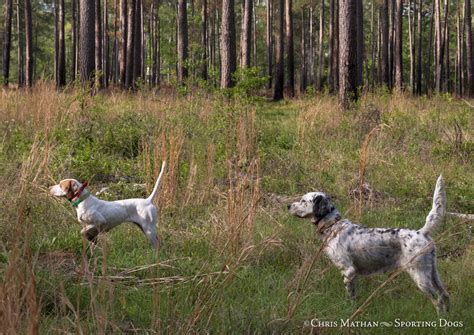 Ben And Sam Tom Word