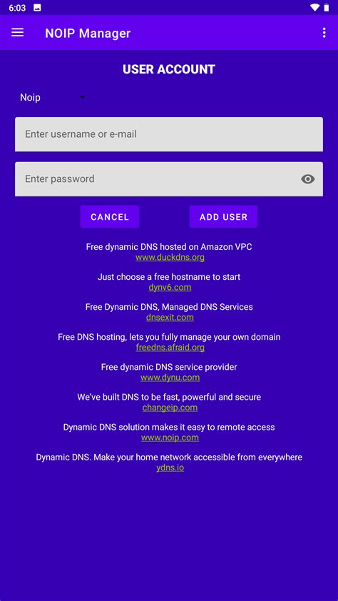 dynamic dns updater noip app on amazon appstore