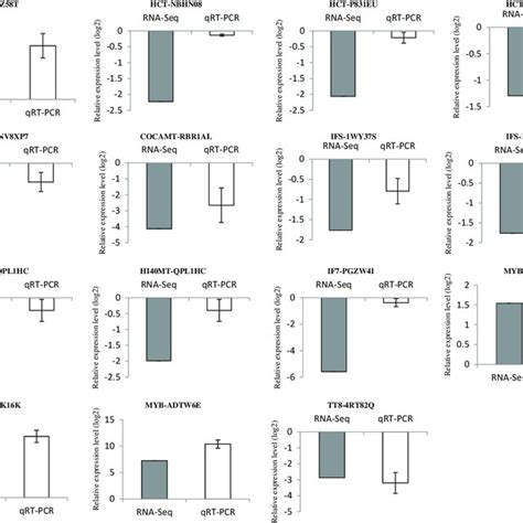 Validation Of Gene Expression By Qrt Pcr Download Scientific Diagram