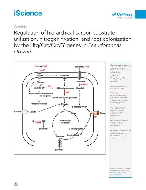 Pdf Regulation Of Hierarchical Carbon Substrate Utilization Nitrogen