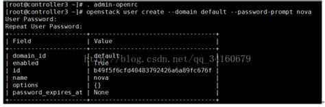 单节点安装openstack 之 计算节点nova 安装进入计算节点 Csdn博客