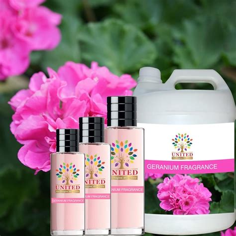 Geranium Fragrance at ₹ 2500/piece | Aromatic Fragrance in New Delhi ...