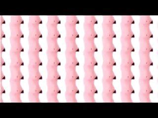 Sissy Trainer Aloha Tube