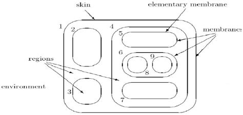 Figure 1 From A Membrane Immune Algorithm For Solving The Multiple 01