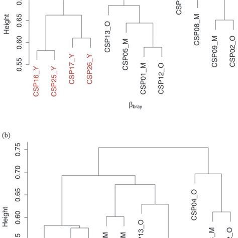 Complete Hierarchical Clusters Based On Pair Wise Dissimilarity Download Scientific Diagram