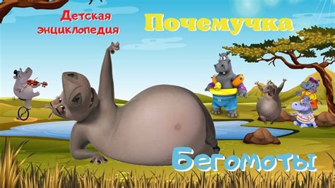 0+ Бегемоты. Интересные факты. Почемучка. Детская энциклопедия. - YouTube