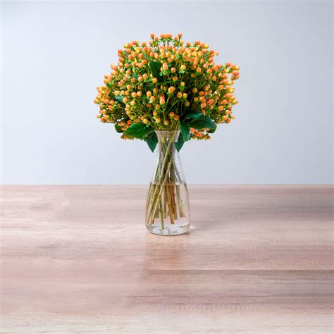 Hypericum Romance Floral Chain Group