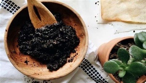 Удобрение из кофейного жмыха для домашних растений