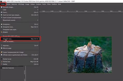 Guide Pour Convertir Psd En  Avec Et Sans Photoshop