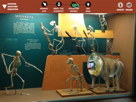 Five Augmented Reality Experiences That Bring Museum Exhibits To Life