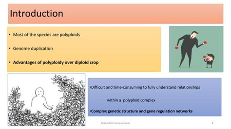 Polyploid Crop Research In The Age Of Genomics Ppt