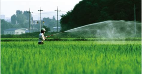 논 잡초 제거 제초제 선택이 중요