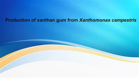 Production Of Xanthan Gum From Xanthomonas Campestrisppt