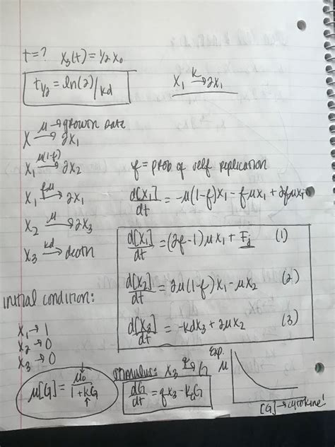 Stem Cell Kinetics Extend The Model Of Stem Cell