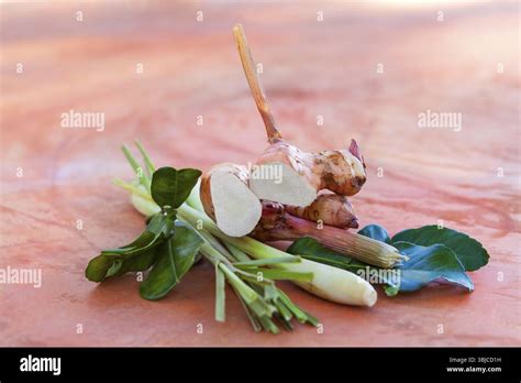 Thai Home Grown Vegetable Backyard Garden Products For Tom Yum