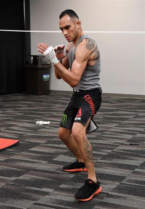 漫长的告别 Ufc262前瞻奥利维拉新浪新闻