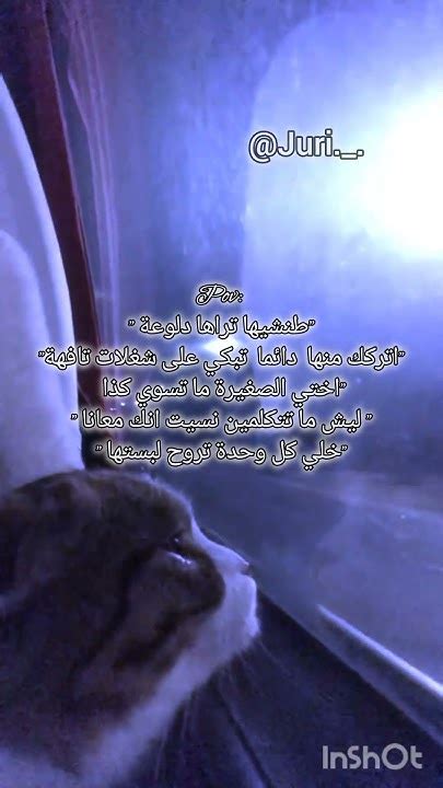 مجرد كلمات💔جوريروزيسانا جیسوتوايسنيوجينزهانيكيدراماvideoshortshortsstraygirls Youtube