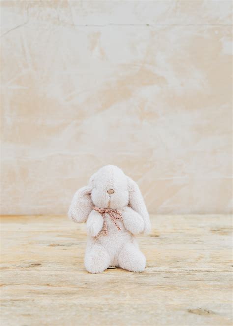 Mini Plush Bunny In Light Powder Burford Garden Co