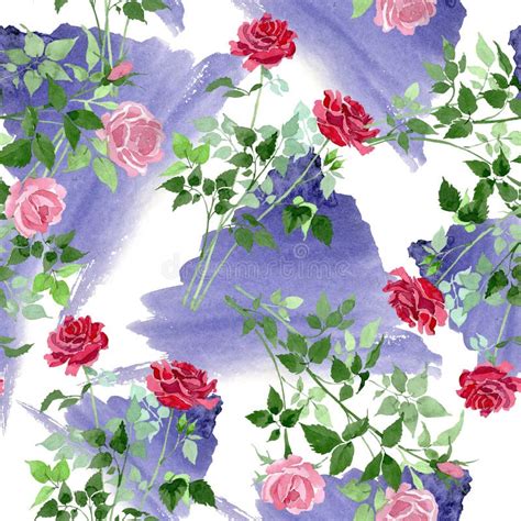 Rose Buisson Stock Illustrations Vecteurs And Clipart 13 715 Stock Illustrations