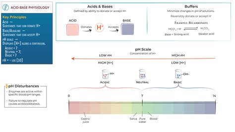 Acids And Bases Introduction 22 Acids Bases Ppt