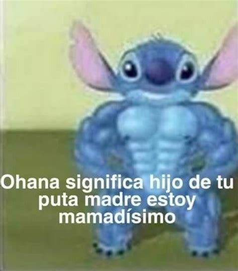 Estoy Mamadisimo Imágenes Divertidas Memes Divertidos Memes