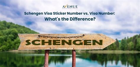 Schengen Visa Sticker Number Vs Visa Number Key Differences Explained