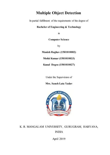 Multiple Object Detection Report Docx