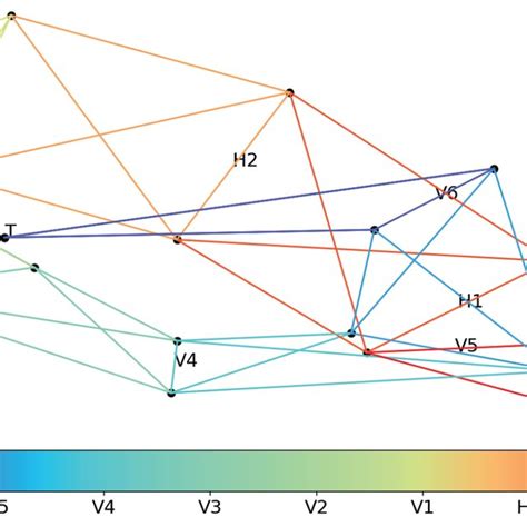 Seam Cellular Interdependence Is Modeled Via A Graph Physiologically Download Scientific