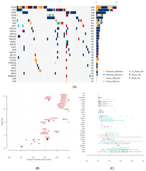 Cancers An Open Access Journal From Mdpi