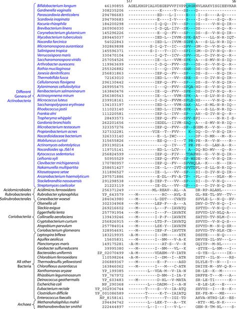 Partial Sequence Alignment Of The Protein Download Scientific Diagram