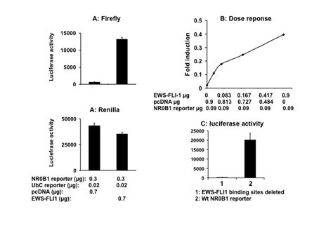 Differential Disruption Of Ews Fli1 Binding By Dna Binding Agents