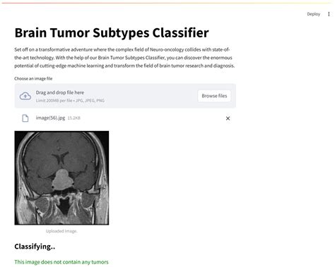 Enhancing Brain Tumor Detection Through Custom Convolutional Neural