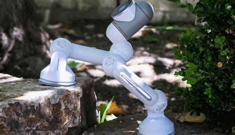 Beyond Bayes Optimality Deepmind And Stanfords Meta Learning Approach Builds Risk And Ambiguity