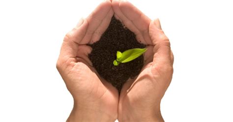 Emerging Technologies Aceee