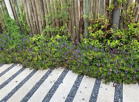 Galería De Edificio Casagrande Estudio Planta 38